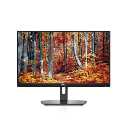 Dell altersgruppen SE2219H 16 IPS