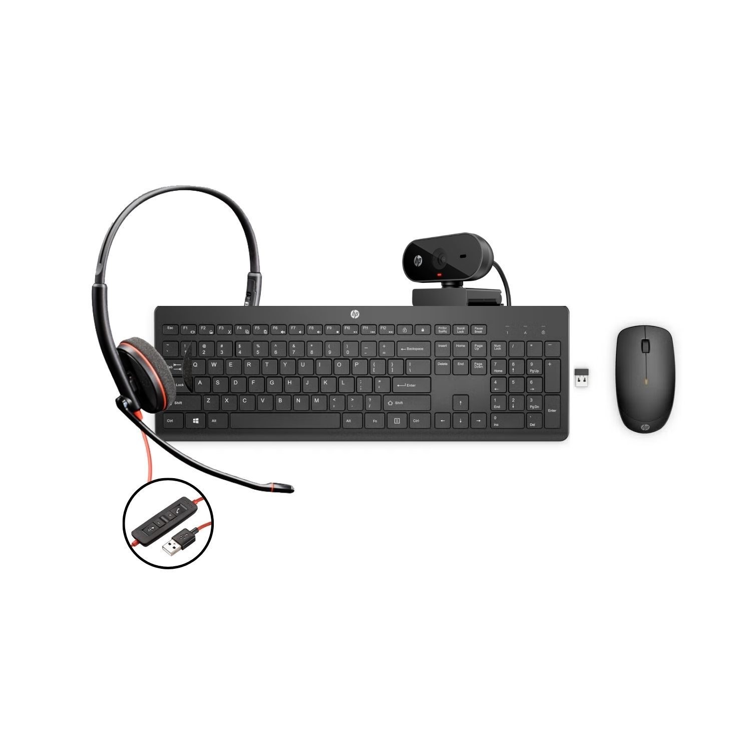 HP 235 Wireless Keyboard and Mouse Combo with HP 325 Webcam and Poly ...