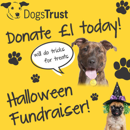 Charity Donation to Dogs Trust - Laptops Direct