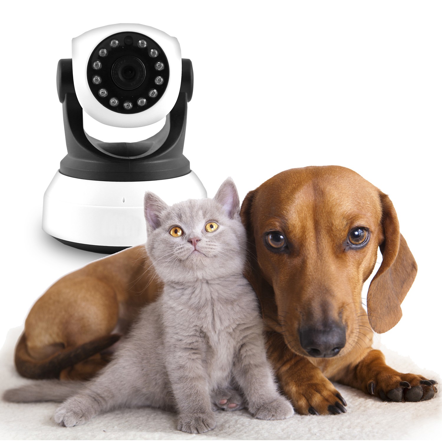Wifi Pet Monitoring Camera with Audio - Laptops Direct