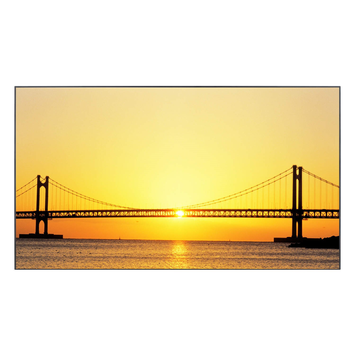 Samsung UD55C 55 Inch Full HD LED Display - Laptops Direct
