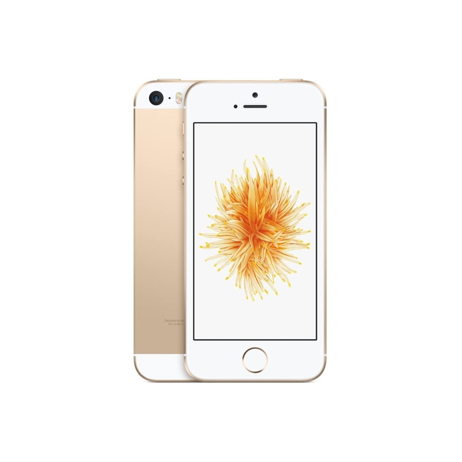 Refurbished Apple iPhone SE Gold 4" 16GB 4G Unlocked & SIM Free ...